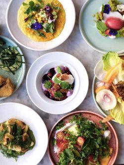 Home - Yes Yes Yes : Yes Yes Yes